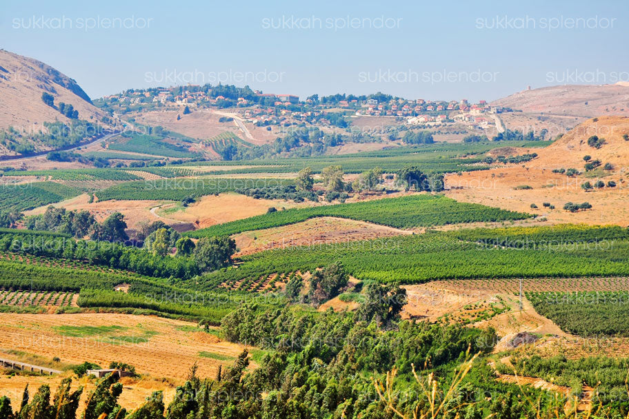 Northern Israel View – Sukkah Splendor